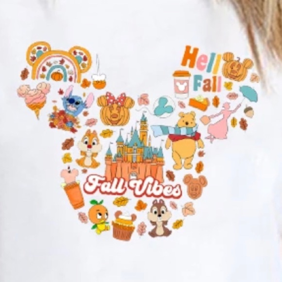 Disney | Tops | Disneyland Fall Themed Disney Tee Shirt | Poshmark